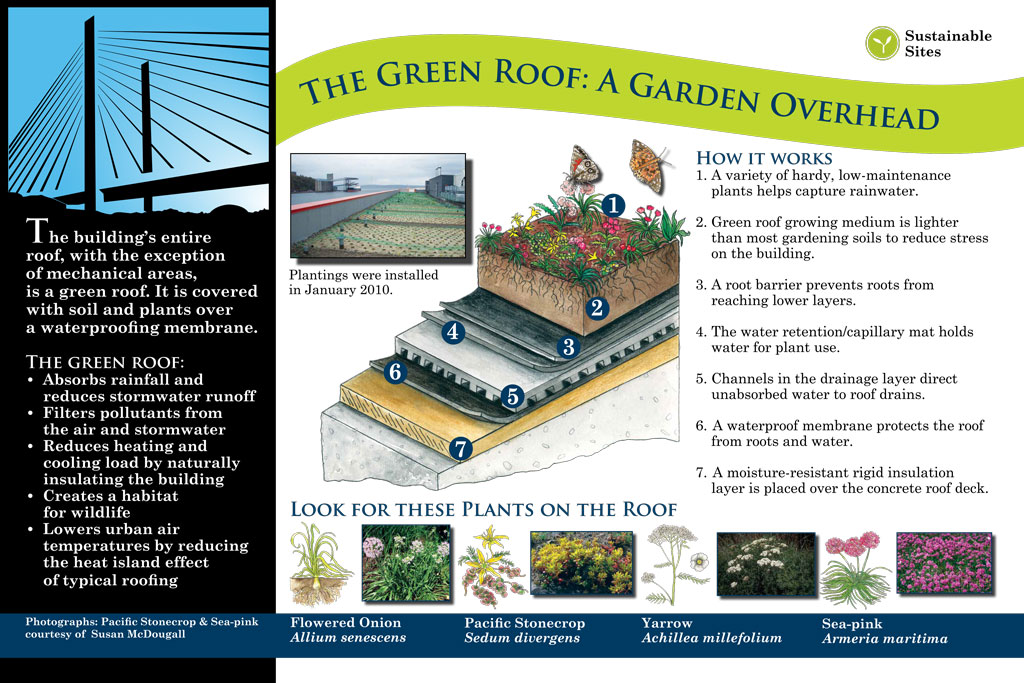 Interpretive site tour - Center for Urban Waters